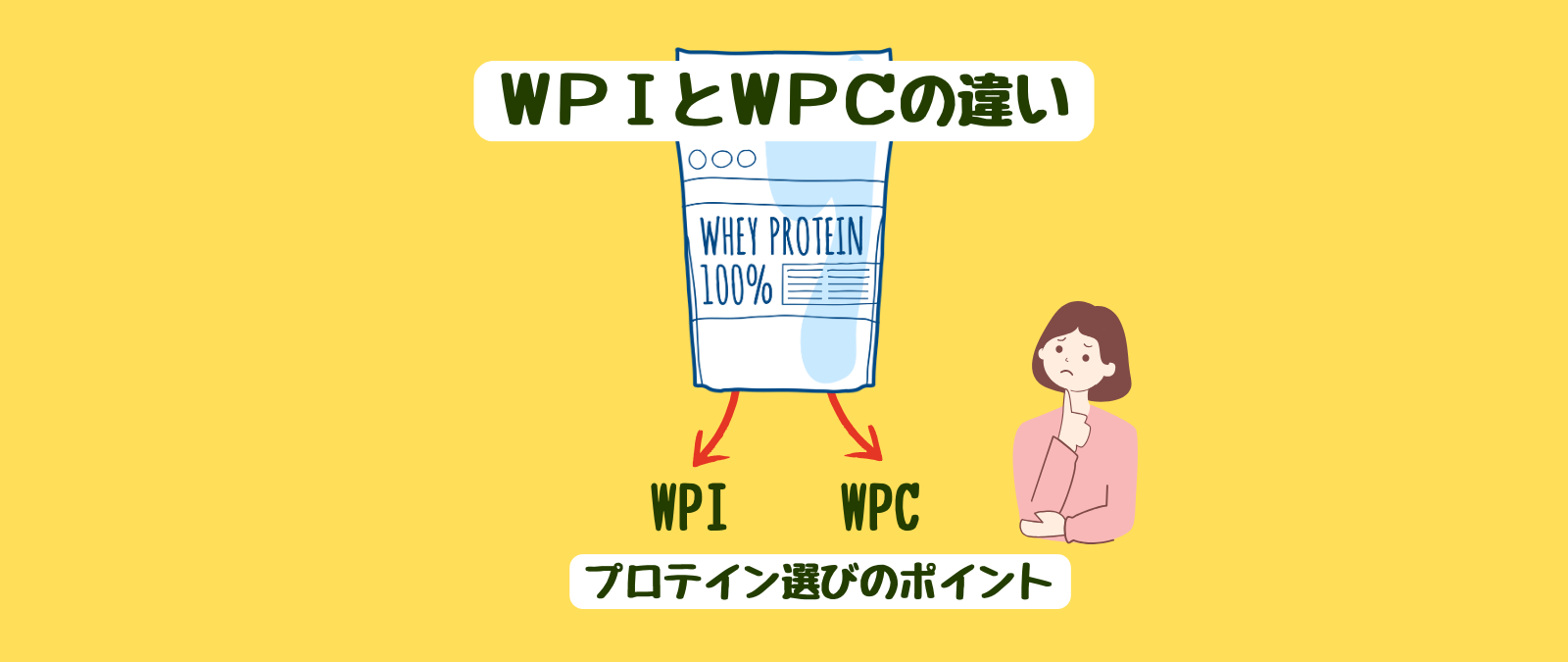 WPIとWPCの違いとは？プロテイン選びで知っておきたいこと｜元気で快適に暮らしたいな
